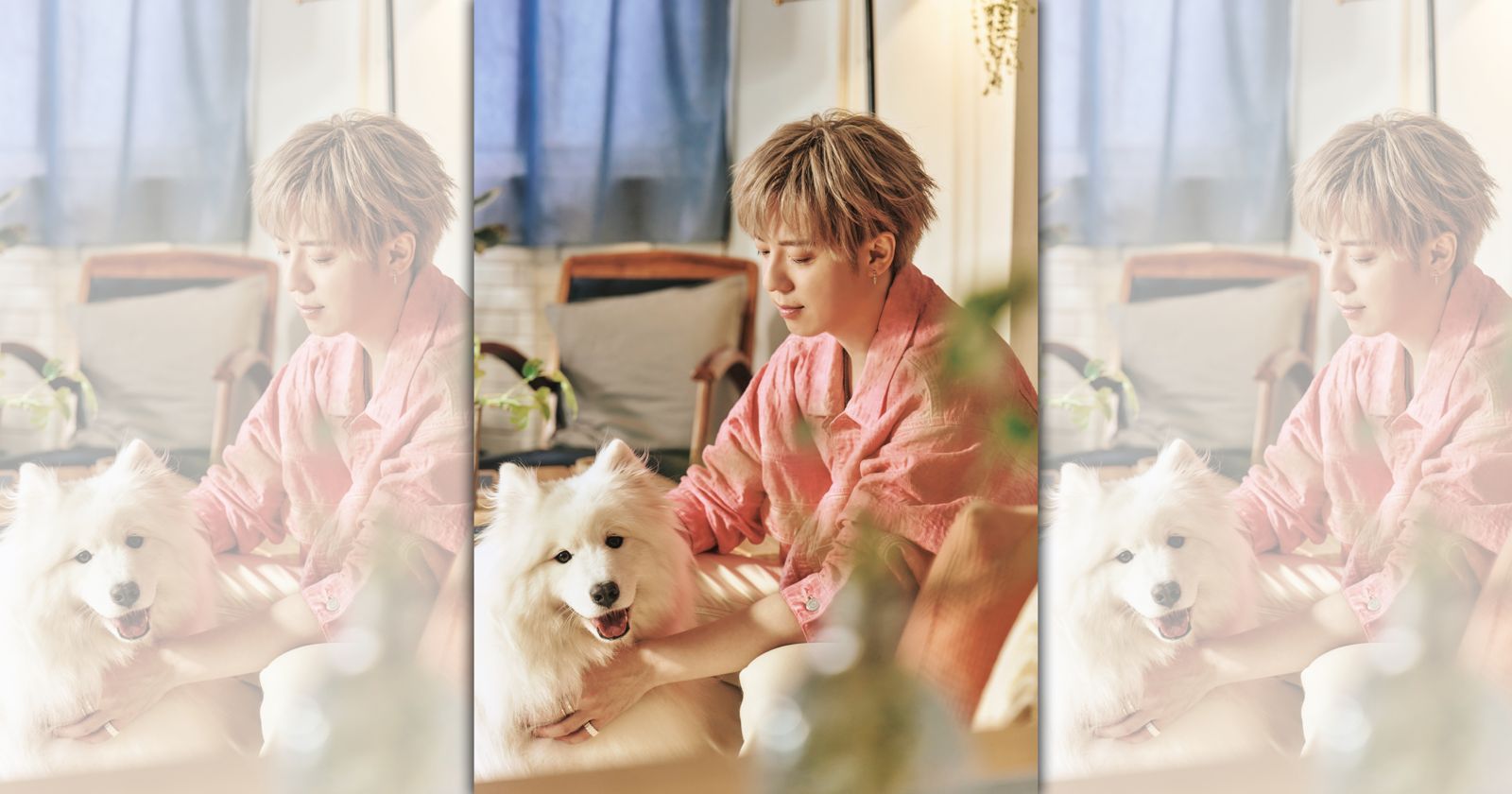 GJ蔣卓嘉翻唱理想混蛋神曲 超萌薩摩耶助攻超Chill MV - 鏡週刊 Mirror Media